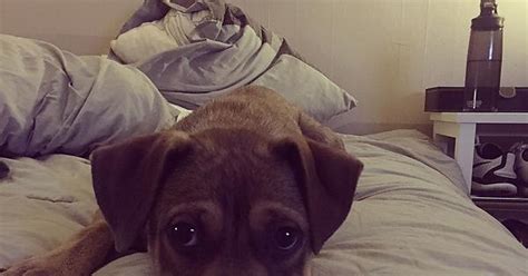 Floppy As A Disk In 93 Imgur Floppy As A Disk In 93 Imgur