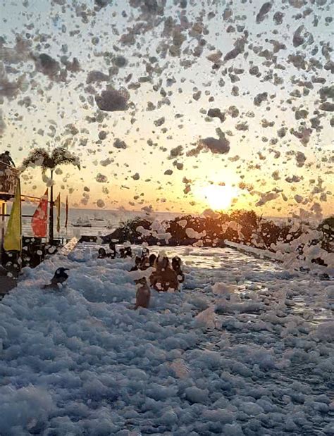 Allen Boracay Ocean Club Beach Resort And Spa Foam Party X泡泡派對 體驗一場難忘的娛樂之旅！從夏威夷舞者令人著迷的舞姿，到魅力十足的變