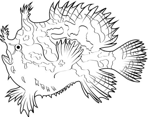 Sargassum Fish Histrio Histrio Free Vector Clipart Images On