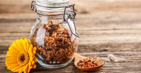 Propolis: Anwendung und Wirkung - Mein schöner Garten