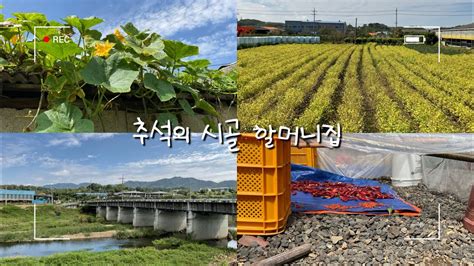 추석의 시골 할머니집 YouTube