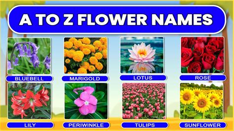 Flowers From A To Z
