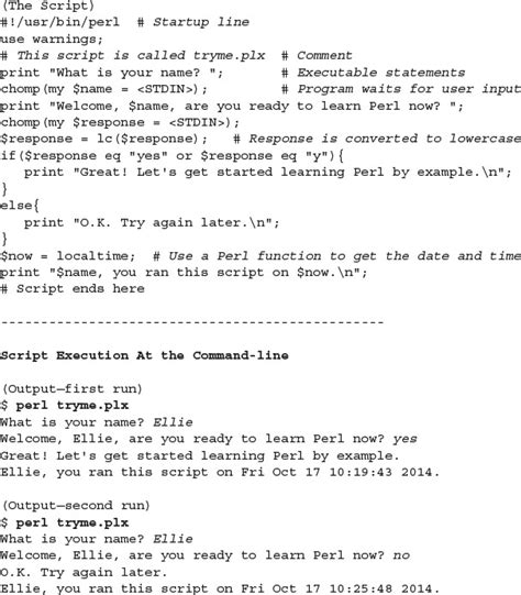 Images Perl By Example Book