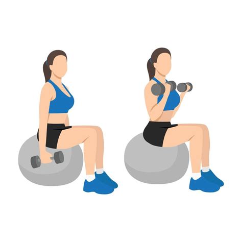 Woman Doing Exercise Swiss Ball Bicep Dumbbell Curls 54062868 Vector Art At Vecteezy