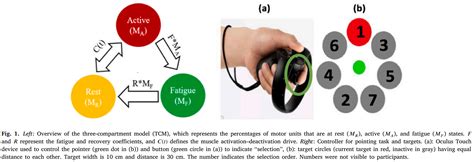 Advanced Modeling Method For Quantifying Cumulative Subjective Fatigue In Mid Air Interaction
