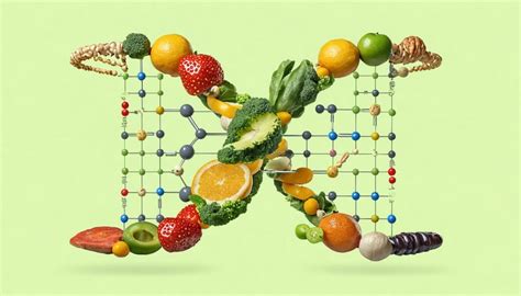 Dna Based Nutrition How Your Genes Shape Your Perfect Diet Health