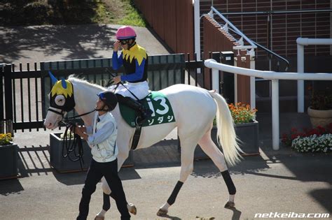 ソダシ Sodashi 競走馬データ Netkeiba