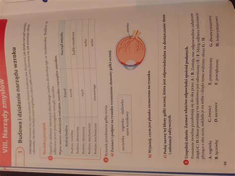 Błagam O Pomoc Na Teraz Brainly Pl