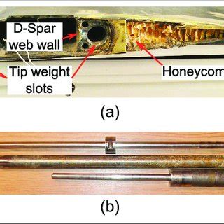 Detail Views Of The Components Of The Blade Tip A Detail View Of Tip Download Scientific