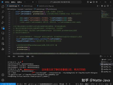 探索C 的一次性代码执行从基础到深入静态变量控制c 对静态变量原子的优化以及std once flag的使用 知乎