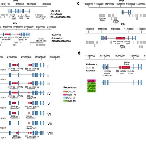 Differentiation Of Gene Pools Through Variable Transposable Elements A