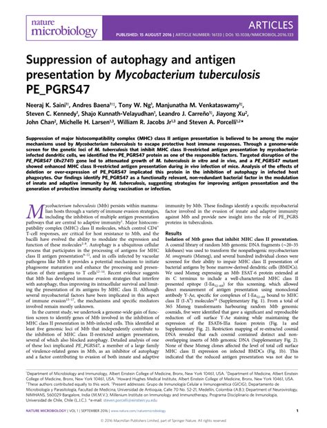 Pdf Suppression Of Autophagy And Antigen Presentation By