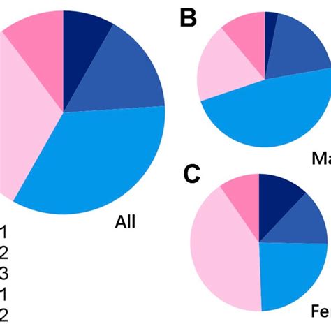 Choroidal Thickness Map A Choroidal Thickness Map Of 6 × 6 Mm² B Download Scientific