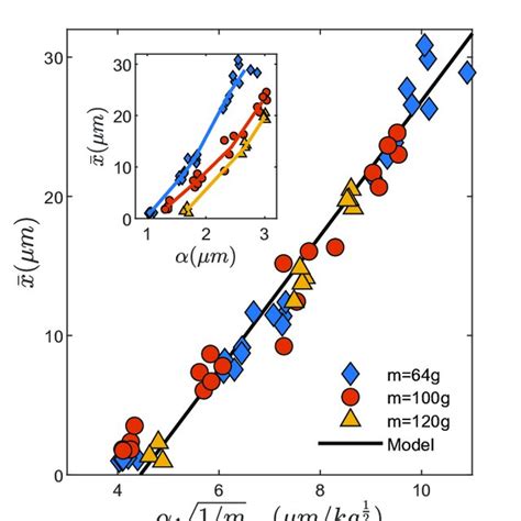 Validation Of The Model Demonstrated By The Steady State Time Averaged