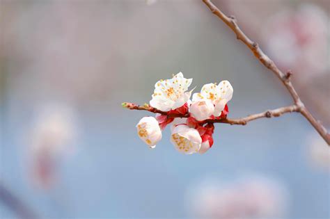 北航之春 新闻网