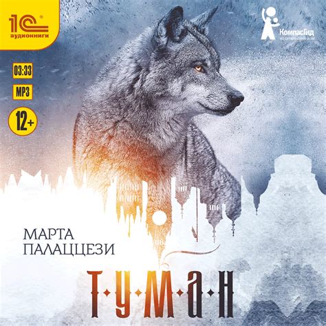 1С Аудиокниги