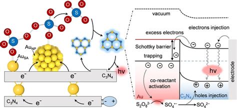 Dual‐site Activation Coupling With A Schottky Junction Boosts The