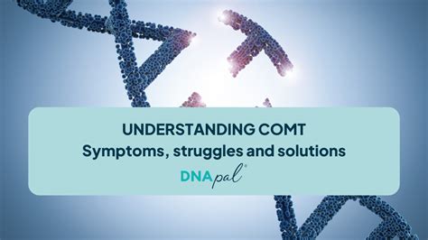 Understanding The Comt Gene Why Does It Matte Dnapal