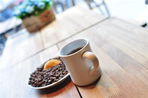 Ark International 커피 한 잔에 담긴 생각 장마가 계속 되는 가운데 따뜻한 햇빛 보기가 소원인 요즘이었습니다 토요일 오후 2시경에는 그래도 비가 오지