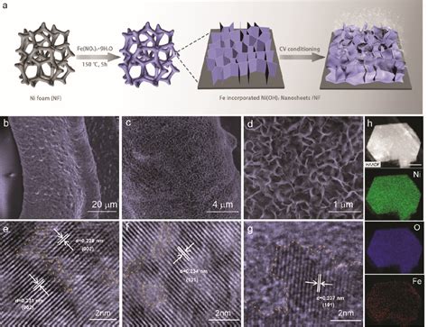 Figure 1 From Ni Foam Supported Fe Doped β Nioh2 Nanosheets Show