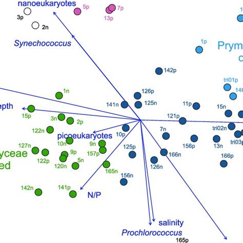 Nmds Analysis Based On Bray Curtis Dissimilarity Of Samples Based On Download Scientific