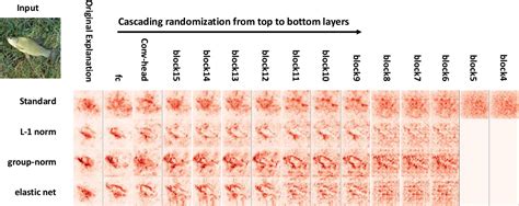 Figure 15 From Structured Gradient Based Interpretations Via Norm