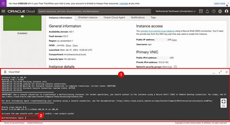access and manage a linux compute instance using oracle cloud