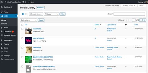 47138 Visible Labelling Only Done Via Placeholder Attribute Wordpress Trac