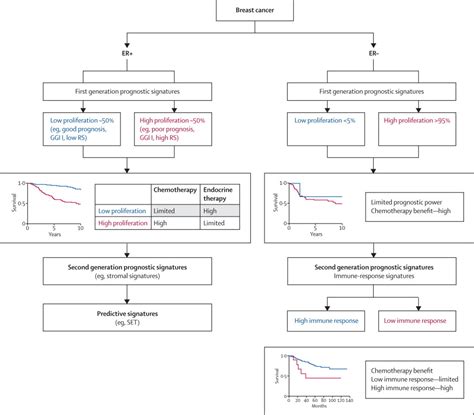 Gene Expression Profiling In Breast Cancer Classification Prognostication And Prediction