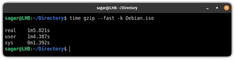 如何在 linux 中使用 gzip 命令