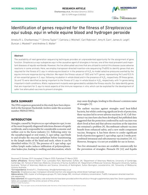 Pdf Identification Of Genes Required For The Fitness Of Streptococcus Equi Subsp Equi In
