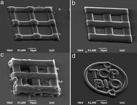 Typical Microstructures Fabricated Under Three Different Conditions Download Scientific Diagram