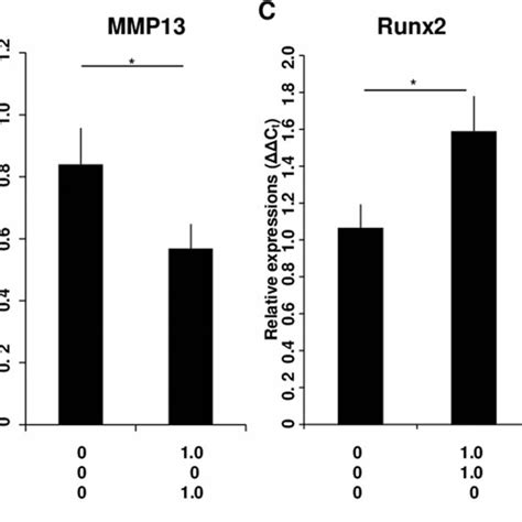 Expression Of Mmp13 And Runx2 In Atdc5 Cells Treated With Various