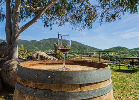 Best Wine Tasting Tours In Ensenada