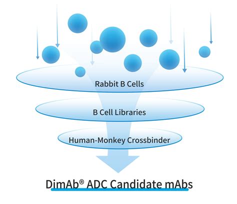 Adc 产品 专注肿瘤免疫