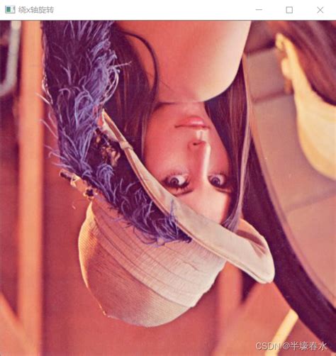 图像翻转（image Flip）imageflip Csdn博客