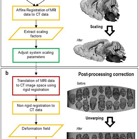 Pdf Is Your System Calibrated Mri Gradient System Calibration For Pre Clinical High