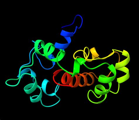 GitHub Riccaran ProteinMotionMaps This Project Aims To Identify Structure Clusters In