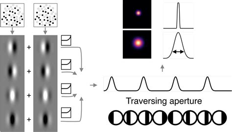 Gabor Filter V1 Brain Sale Online