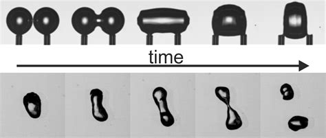 Research Group Of Multiphase Reactors Departments Institute Of Chemical Process Fundamentals
