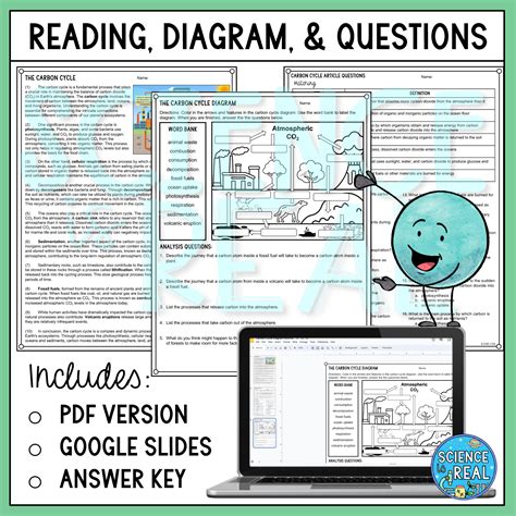 Carbon Cycle Diagram Background Reading And Questions Worksheets