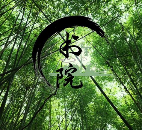 Chatgpt 账号可能含5美金已提取api Key 星雨