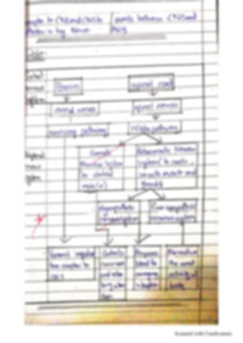 SOLUTION Difference Between Nerve And Ganglia Studypool