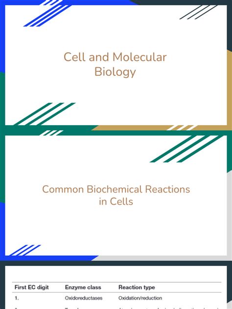 Molec And Cell Biology Pdf