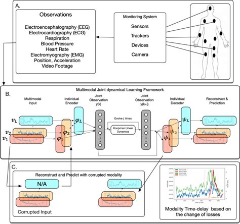 非线性动力系统联合线性表示的深度多模态学习scientific Reports X Mol