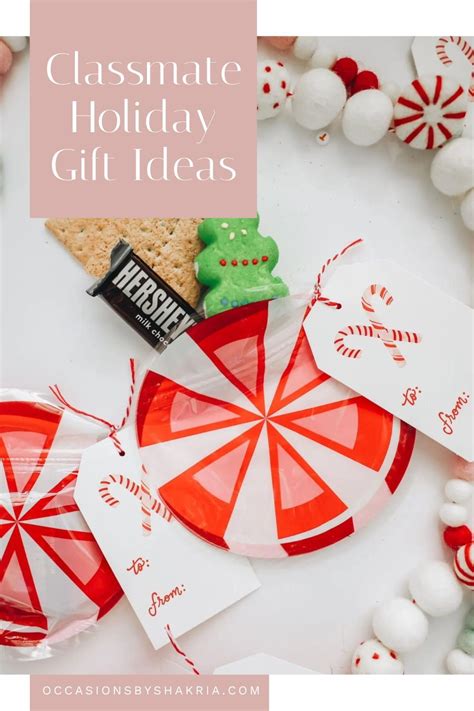 Classmate Holiday T Idea Smores Kits Occasions By Shakira Holiday Ts All Things