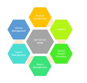 The Benefits Of Sap Gts For International Businesses A Complete Overview Saptutorials In