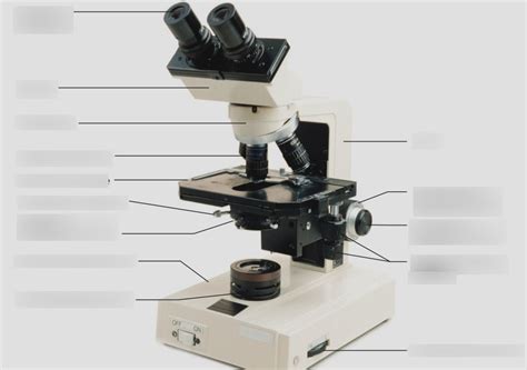 Lab Practicum Exam Diagram Quizlet