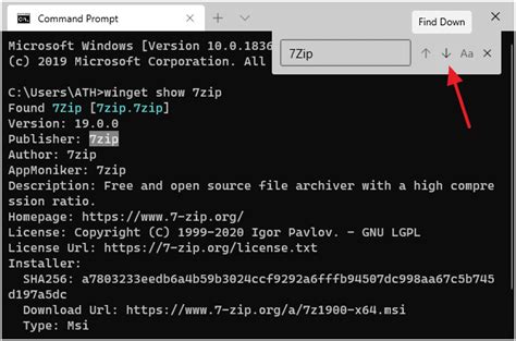 How To Search In Windows Terminal Output