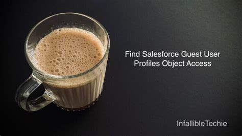 Find Salesforce Guest User Profiles Object Access Infallibletechie